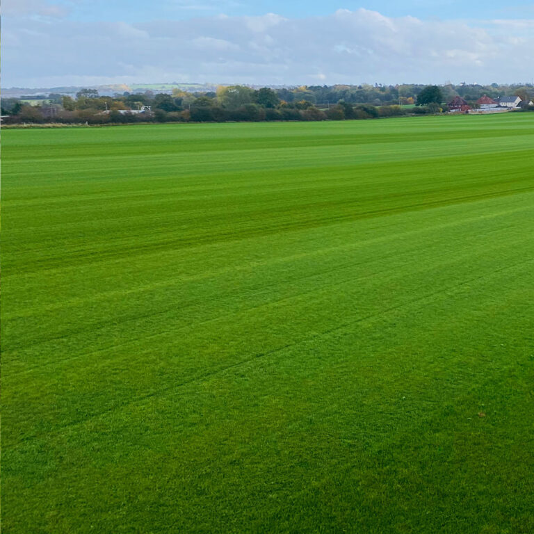 Emerald Turf - TW Aggregates