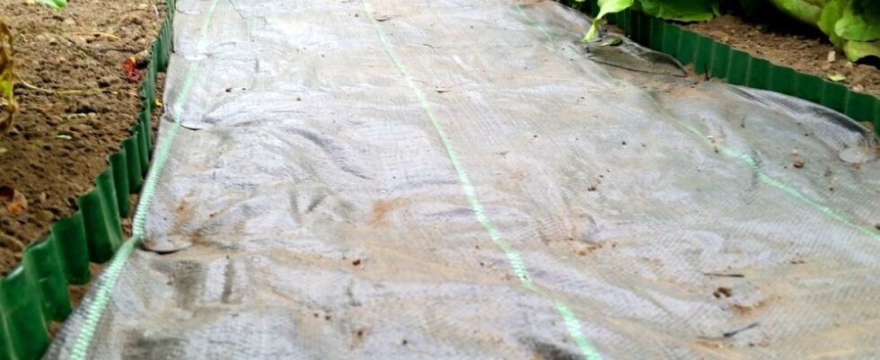 How To Lay A Gravel Garden Patio: Step-By-Step Guide - TW Aggregates